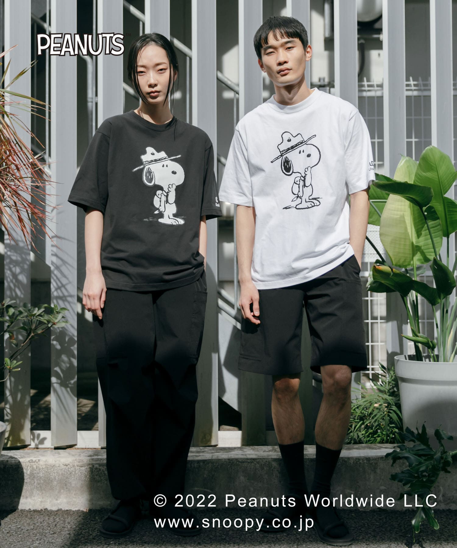 2680841_base | CHARADINATE（キャラディネート）