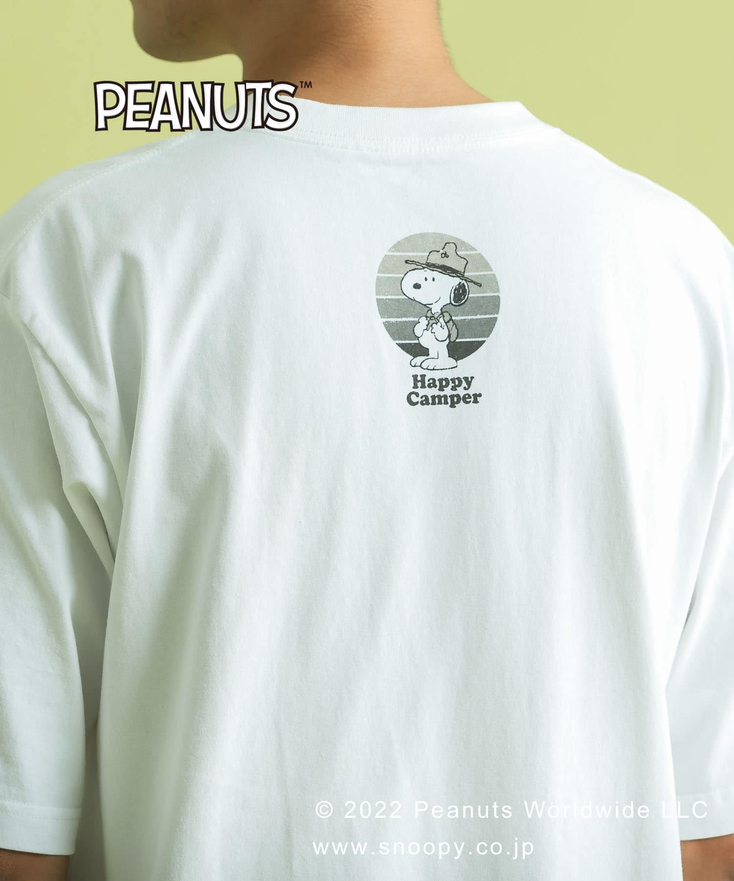 2681188_base | CHARADINATE（キャラディネート）